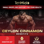 premium quality cinnamon extract