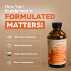 premium quality cordyceps extract