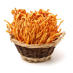 premium quality cordyceps for vitality