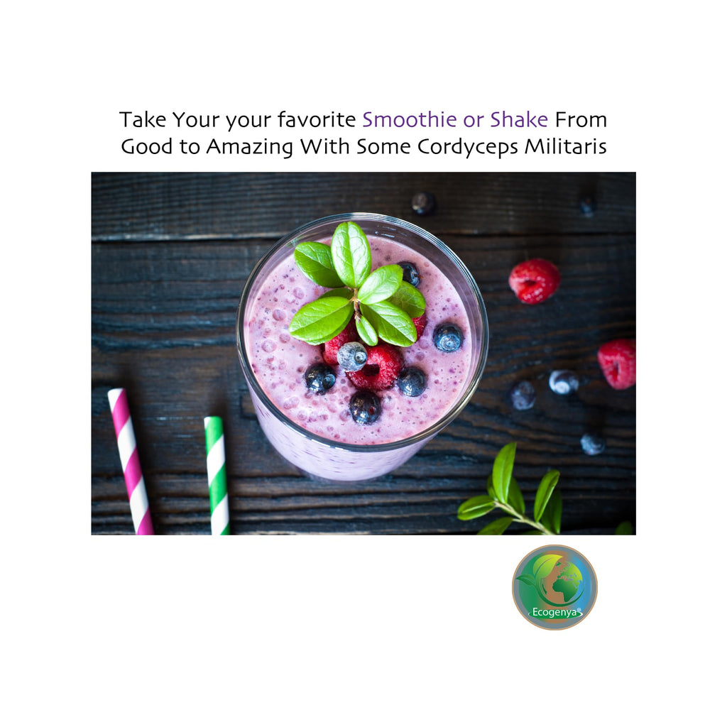 premium quality cordyceps mushrooms