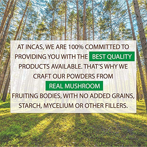 premium quality cordyceps powder