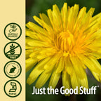 premium quality dandelion extract