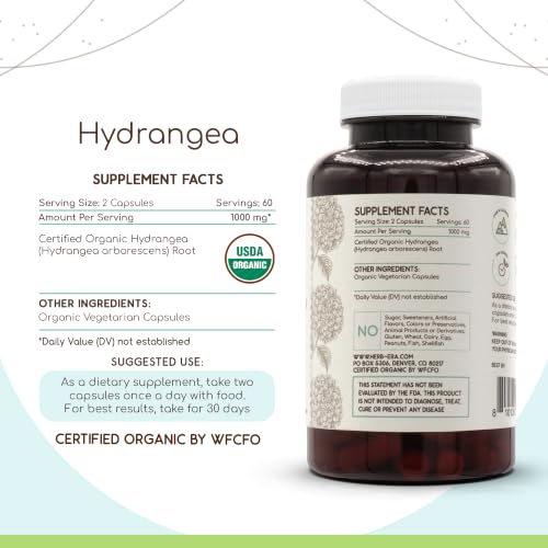 premium quality echinacea capsules