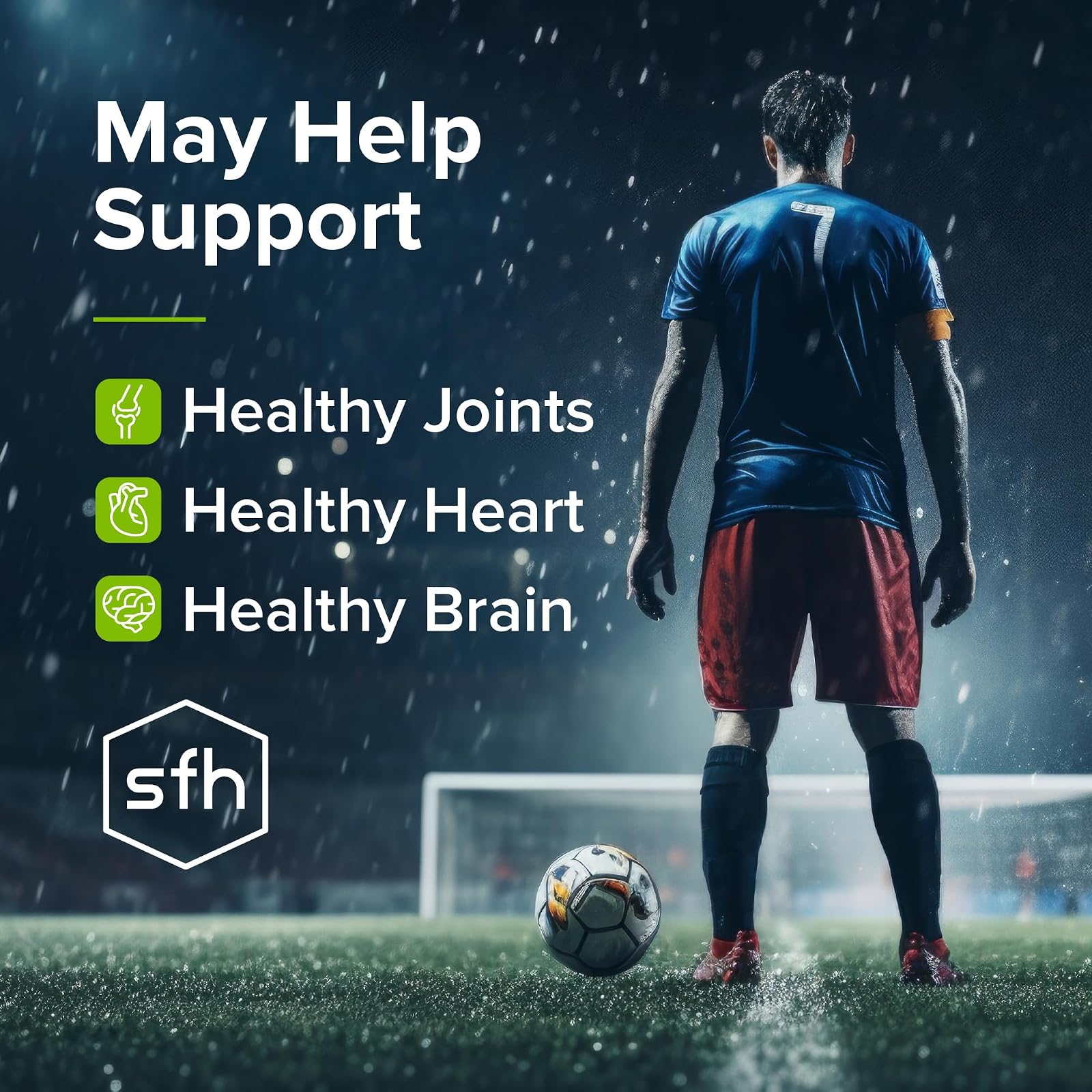 premium quality fish oil liquid