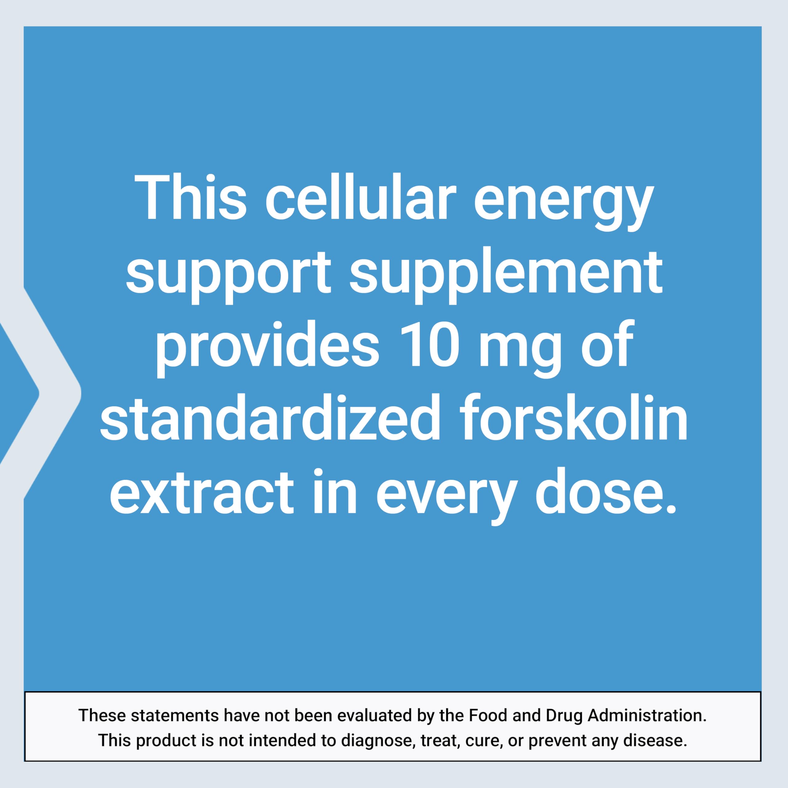 premium quality Forskolin extract