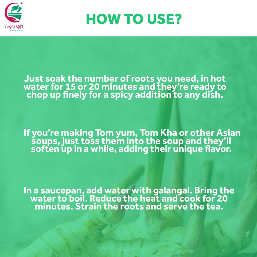 premium quality galangal for tea