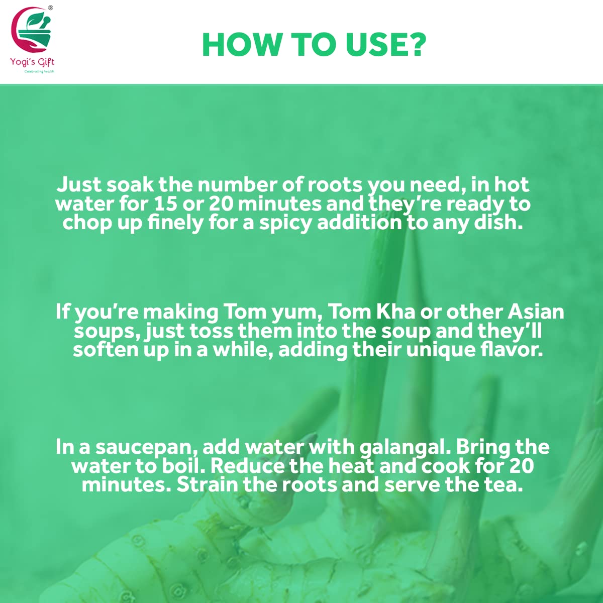 premium quality galangal for tea