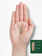 Premium quality ginseng extract