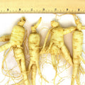 premium quality ginseng for wellness