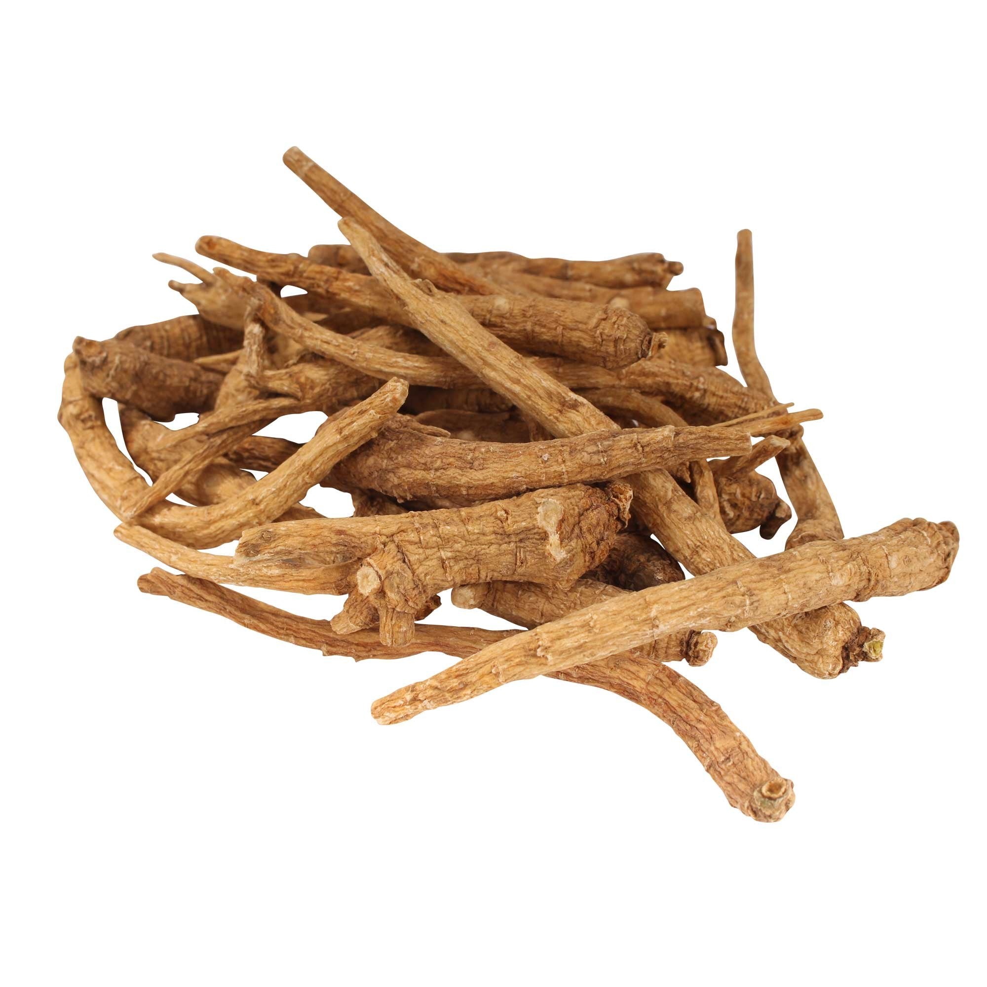 premium quality ginseng root