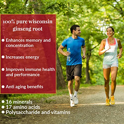 premium quality ginseng roots