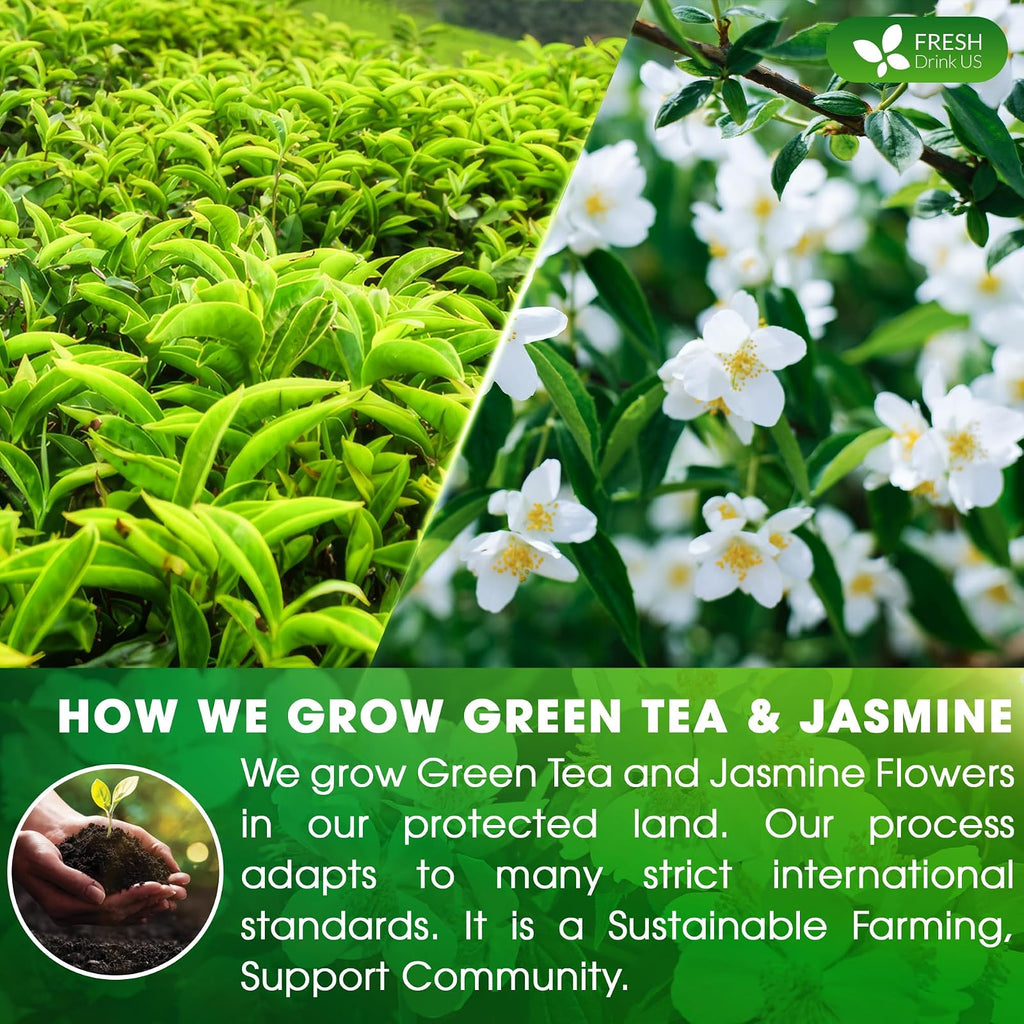 premium quality green tea bags
