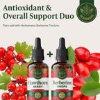 Premium quality herbal capsules for vitality