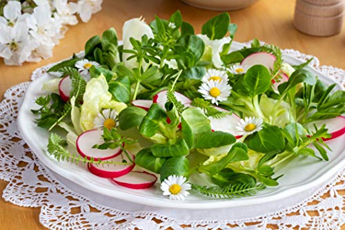 premium quality herbal supplements Canada