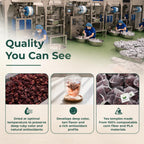 premium quality herbal tea bags