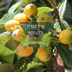 premium quality herbal tea blend