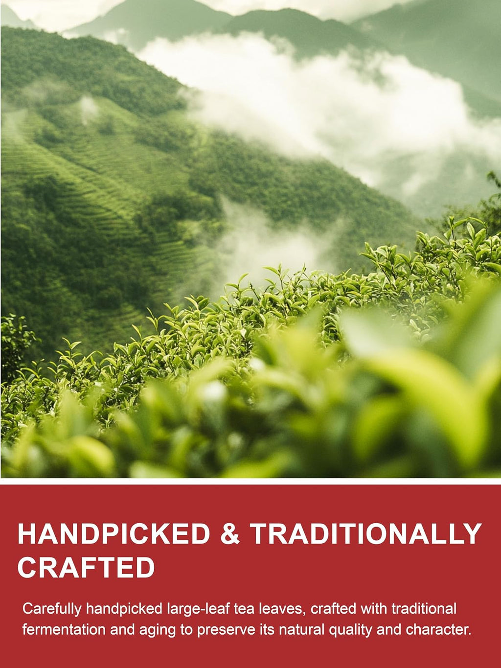 Premium quality herbal tea selection