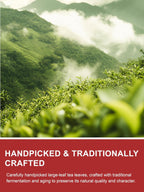 Premium quality herbal tea selection