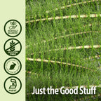 premium quality horsetail extract 1 oz