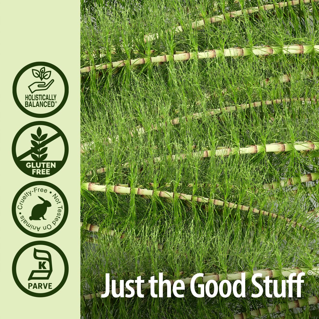 premium quality horsetail extract 1 oz