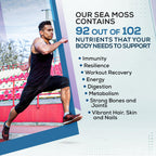 premium quality Irish sea moss