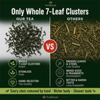 premium quality Jiaogulan tea