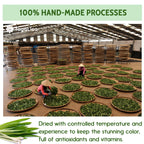 premium quality lemongrass tea bags