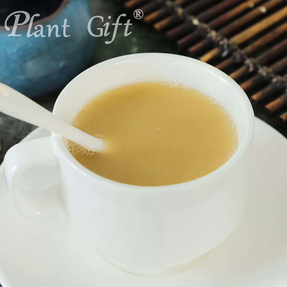 premium quality lion's mane powder