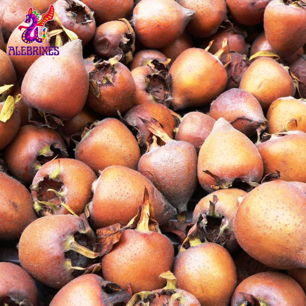 Premium quality loquat leaves tea