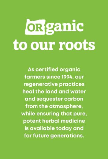 premium quality milk thistle extract