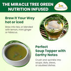 premium quality moringa oleifera tea