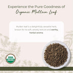 premium quality mullein herbal remedy