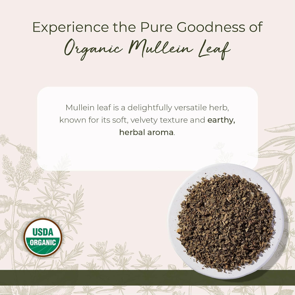 premium quality mullein herbal remedy