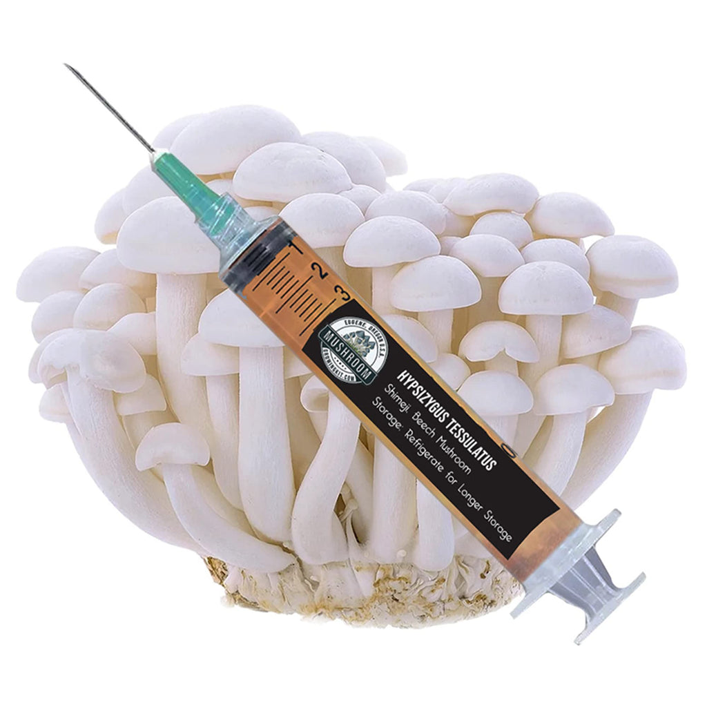 Premium quality mushroom cultivation kit
