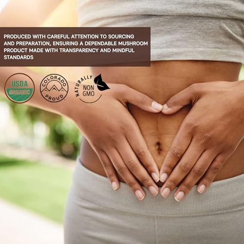 premium quality mushroom extract capsules