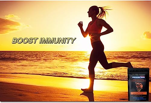 premium quality mushroom powder