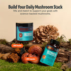 premium quality mushroom supplement capsules