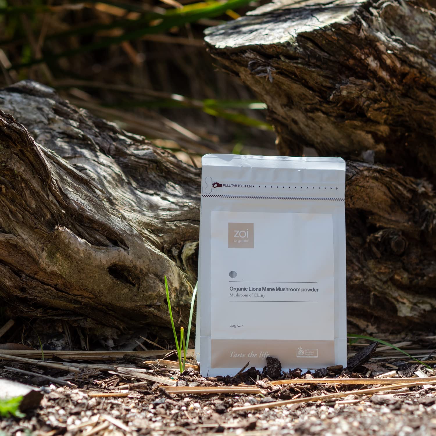 premium quality mushrooms for health