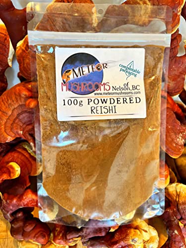 premium quality mushrooms for smoothies