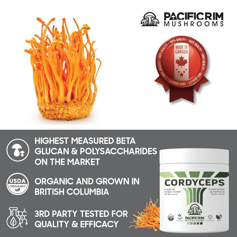 premium quality mushrooms for vitality