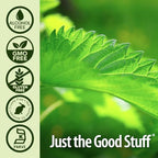 premium quality nettle extract