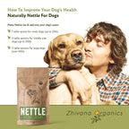 premium quality nettle tea