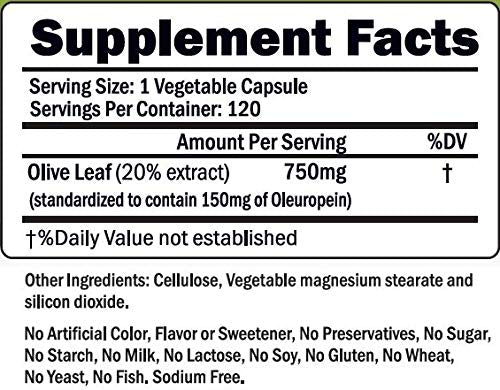 premium quality olive leaf extract