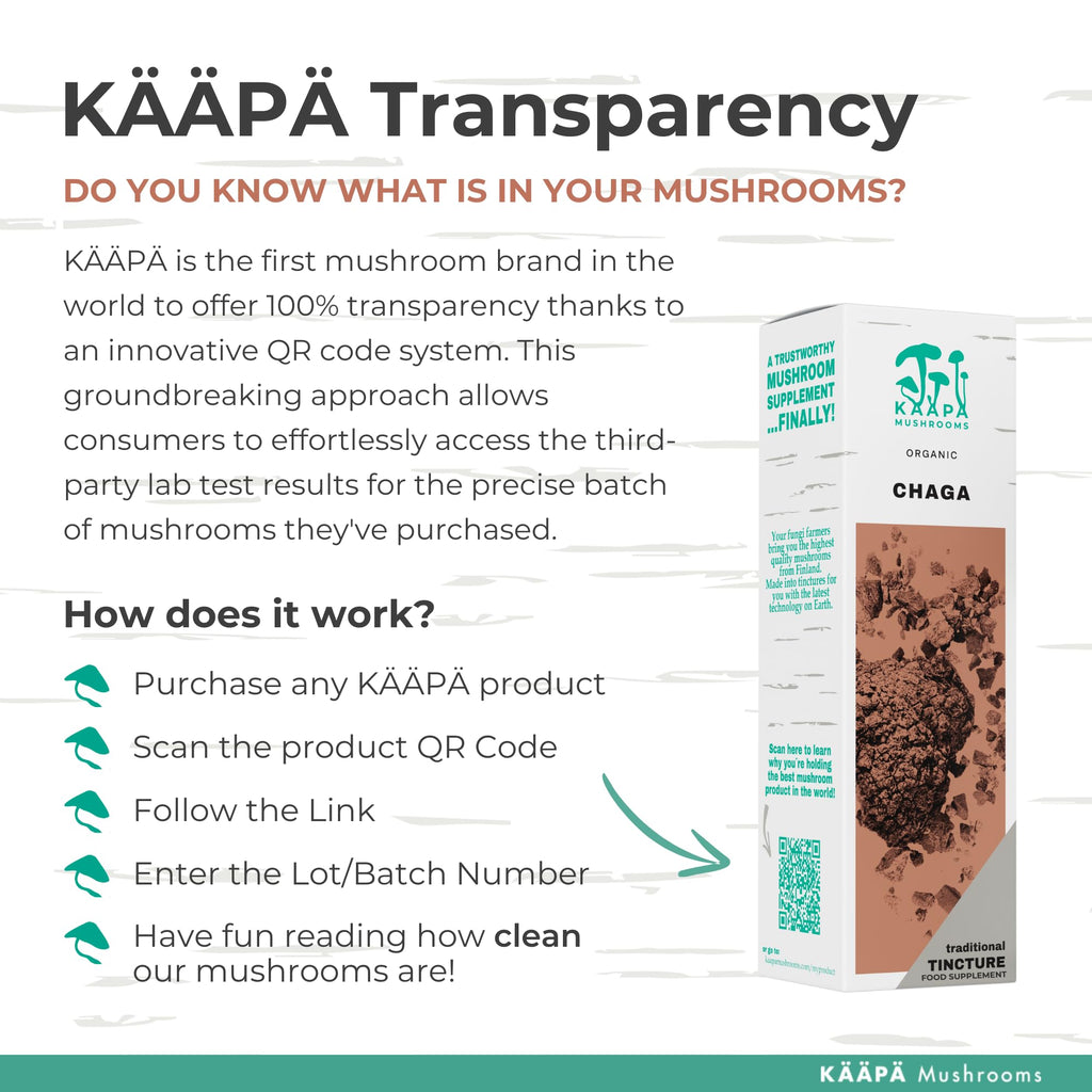 Premium quality organic chaga mushrooms
