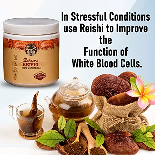 premium quality organic mushroom powder