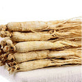 premium quality panax ginseng roots