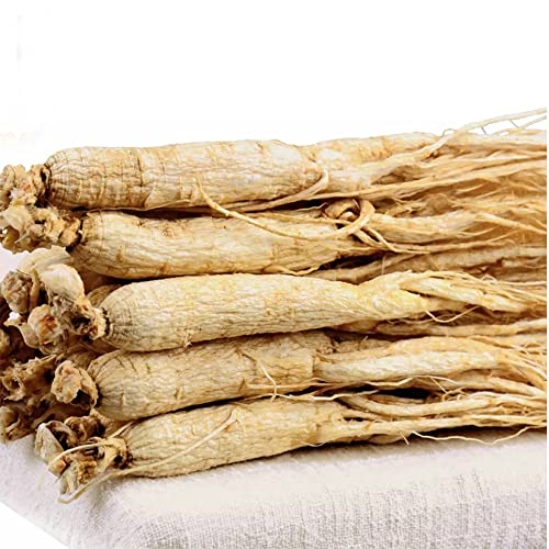 premium quality panax ginseng roots