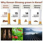 premium quality Panax ginseng