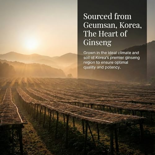 premium quality red ginseng pouches