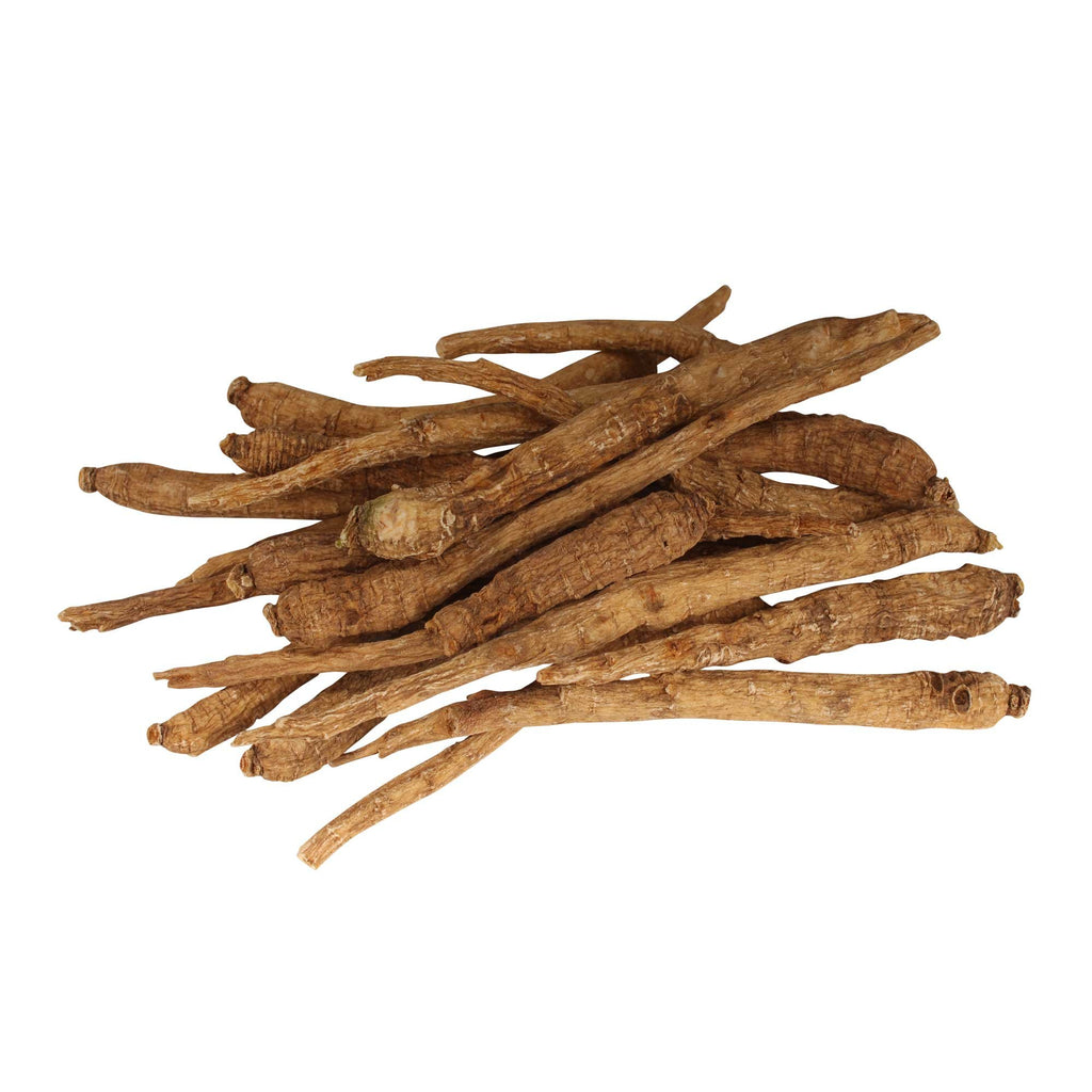 premium quality red ginseng root